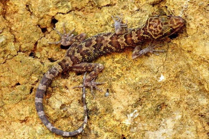 Bangkok Post - Photo gallery | Bangkok Post