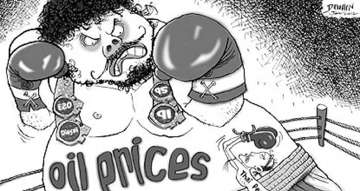Bangkok Post - Bangkok Post editorial cartoons: February 2012