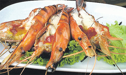 Bangkok Post - Reviving the ravaged river prawn