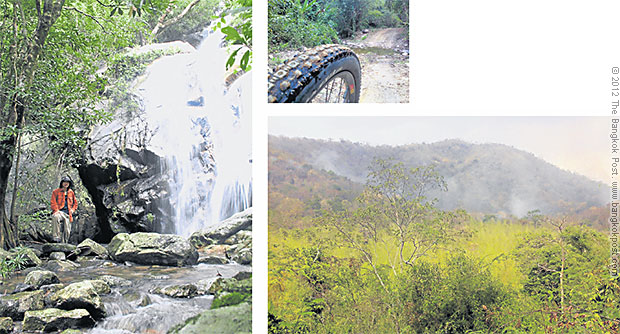 Bangkok Post - Creature (dis)comforts of going solo