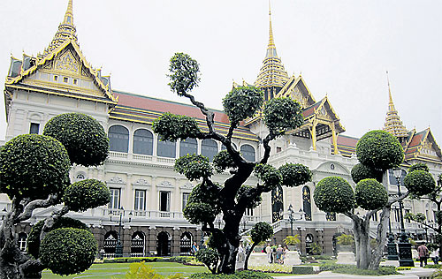 Bangkok Post - Hard to find trees turn up full of flavour