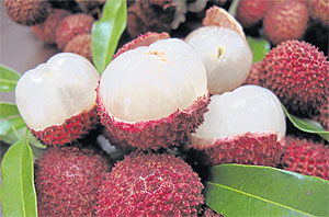 Bangkok Post - Fruit fair in Samut Songkhram