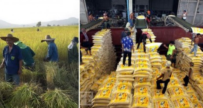 Bangkok Post - Fears of rice fraud rise