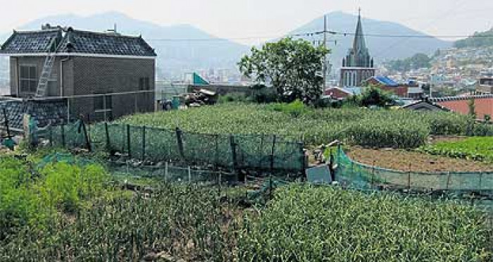 The virtues of vegging out