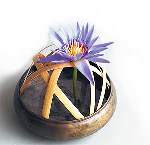 Bangkok Post - Flowers of Asia