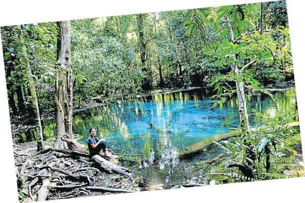 Bangkok Post - Lessons learned