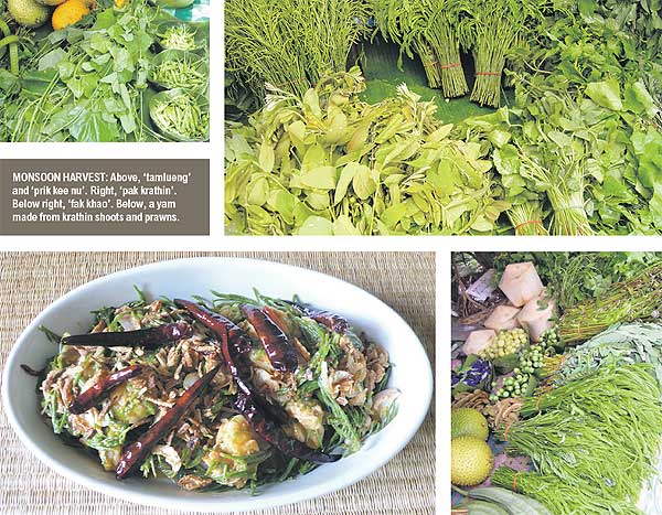 Bangkok Post - The kitchen delights of the monsoon season