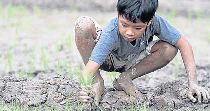 Bangkok Post - Food security key concern