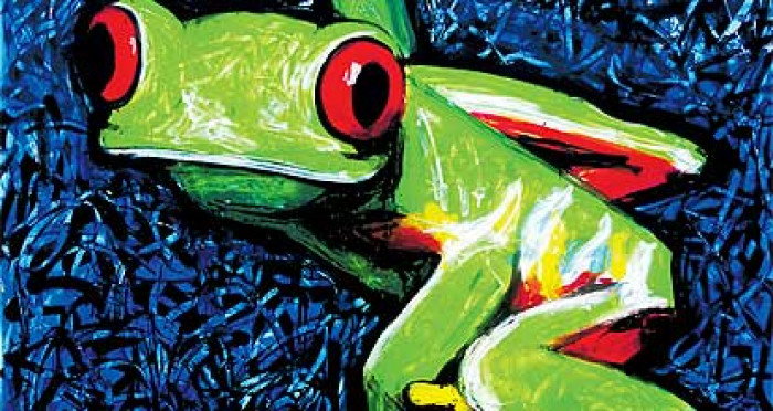 Their wildest dreams come true