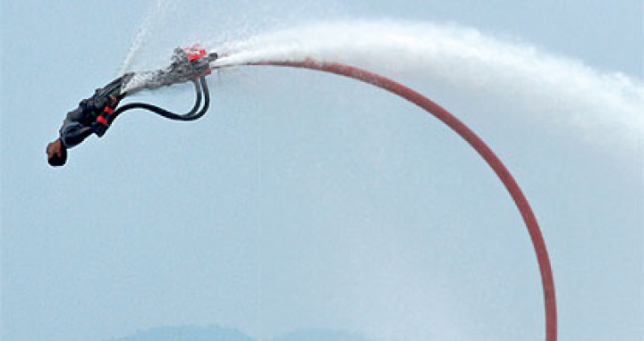 Flipper, King of the sea