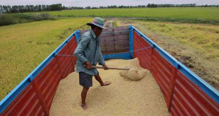 Bangkok Post - Thailand to pass India as top rice shipper