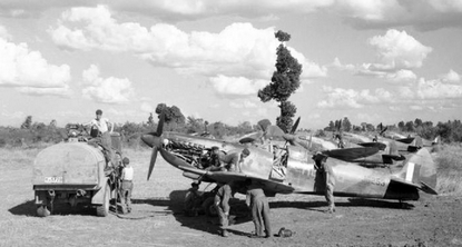 Bangkok Post - Spitfire search comes up empty