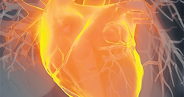 The arteries of your heart need TLC