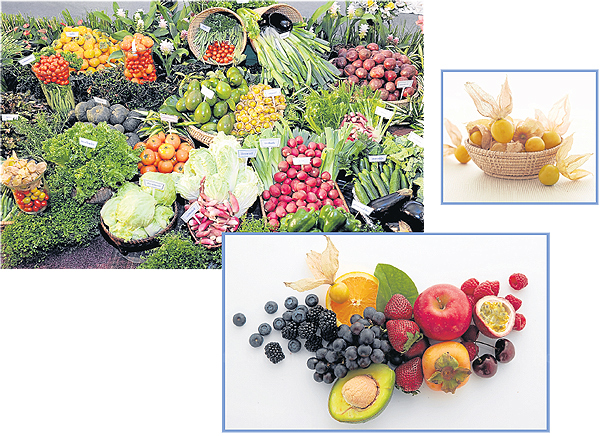 Bangkok Post - Royal produce in the market