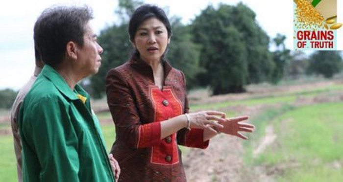 Bangkok Post - Rethinking the rice subsidy