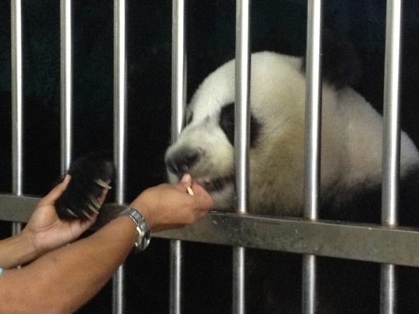 Bangkok Post - Lin Ping to go to China on Sept 28