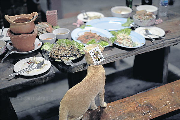 Bangkok Post - Looking Awry