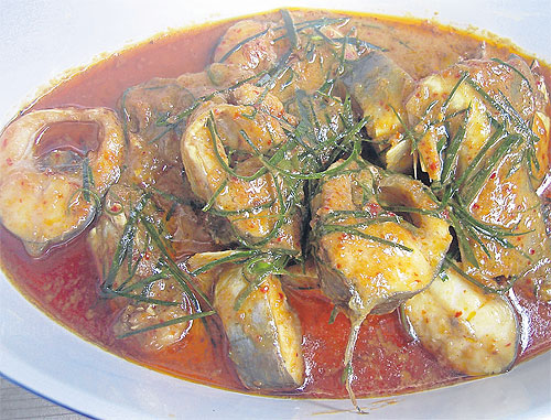 Bangkok Post - Fish out of water