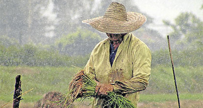 Reaping what they Sow