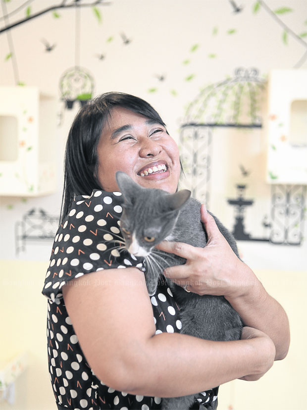 Bangkok Post - The kitty hotel