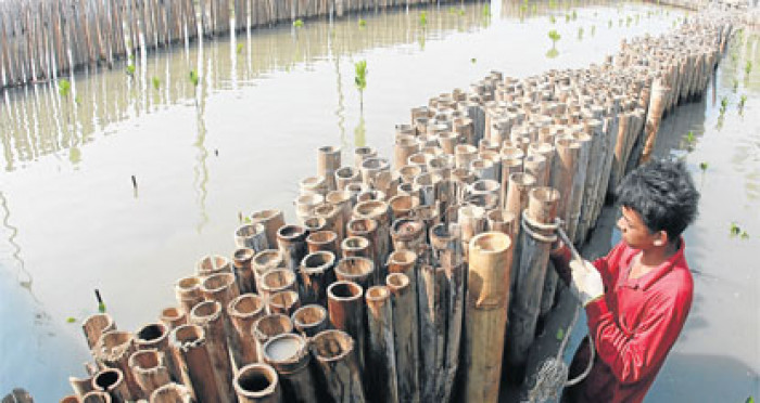 Fighting nature with Nature