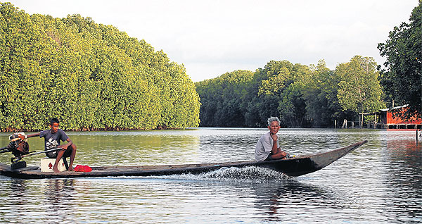 Bangkok Post - Kites of fancy
