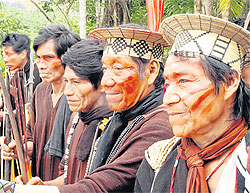 Bangkok Post - Down to earth