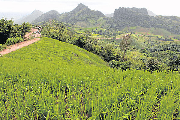 Bangkok Post - Hidden gems of Nong Hin