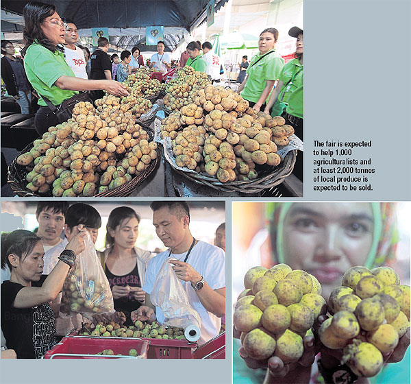 Bangkok Post - The fruits of collaboration