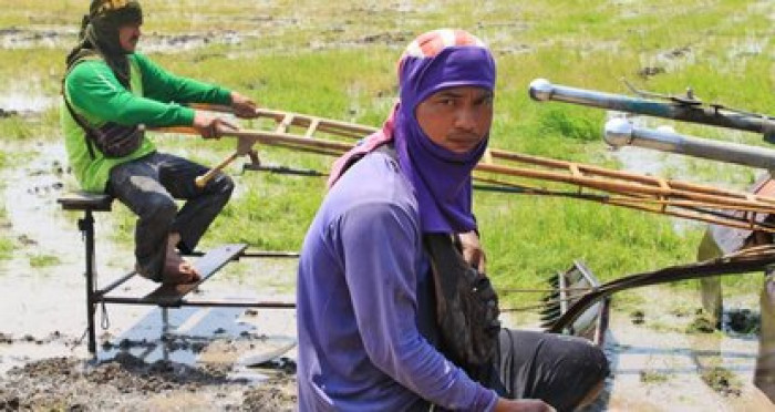 Bangkok Post - Rice farmers must help themselves