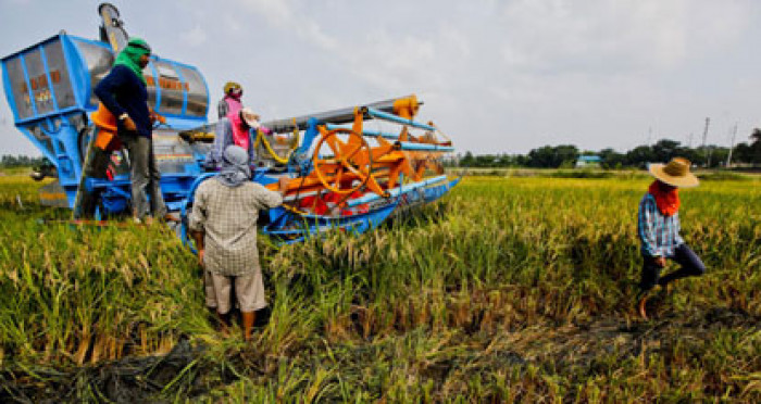 Bangkok Post - Prayut calls for integration of small paddy fields to ...