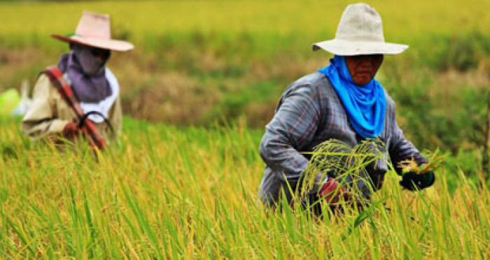 Bangkok Post - Land rights for poor to change