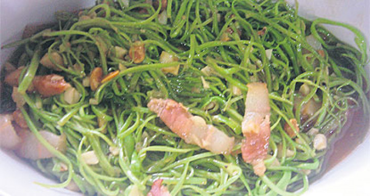 The deep roots of phak boong