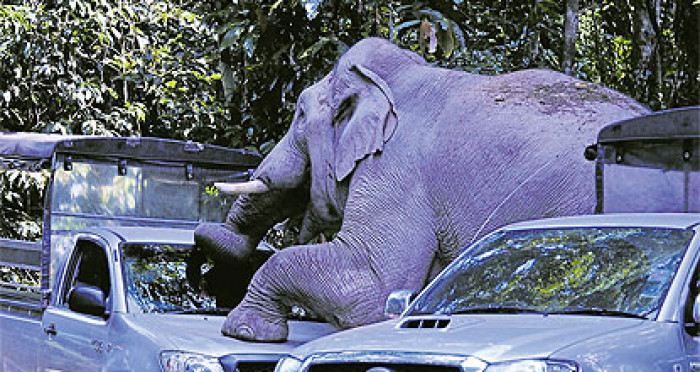 Taming human behaviour