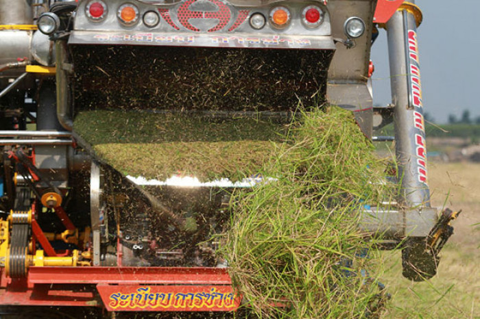 Bangkok Post - Commerce delays third rice auction