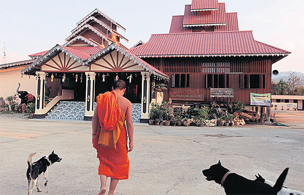 Bangkok Post - The long procession