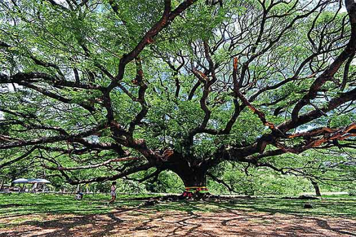 Bangkok Post - More than a city break