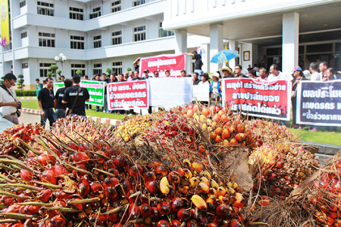 Bangkok Post - Oil palm ramp operators protest buying method