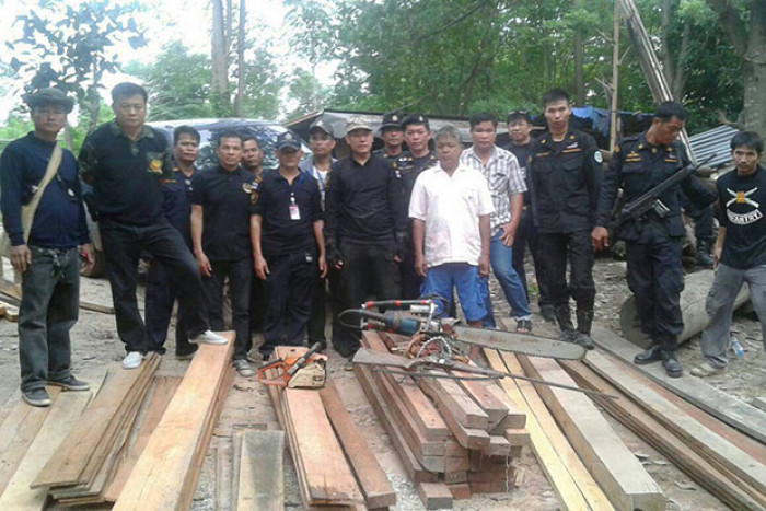 Bangkok Post - Timber poacher caught the act in forest reserve