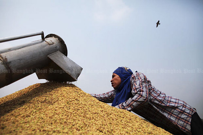 Bangkok Post - Thailand to tap rice stockpile to maintain export levels