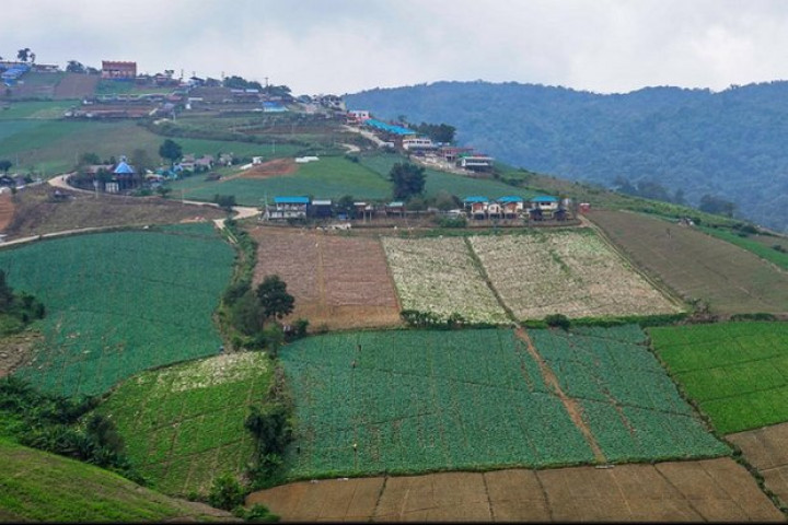 Bangkok Post - Department reclaims land for Hmong