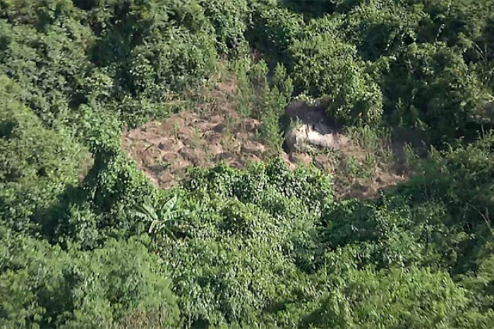 Bangkok Post - 500 ganja plants found growing in Northeast