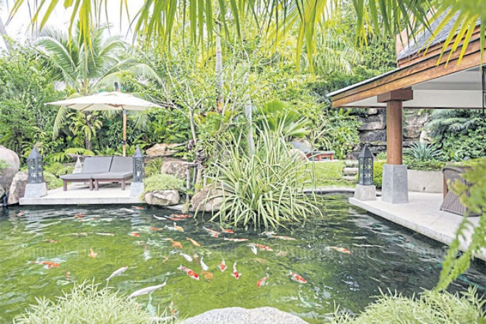 Bangkok Post - A landscape on the rocks