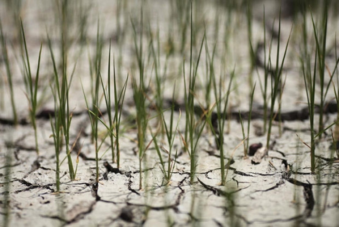 Bangkok Post - Ministry gets ready to fight drought
