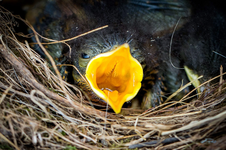 Bangkok Post - Photo gallery | Bangkok Post