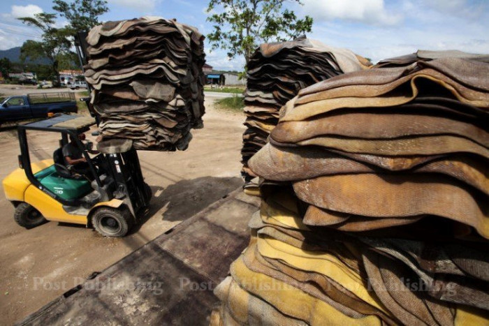 Bangkok Post - Government moving quickly on rubber crisis