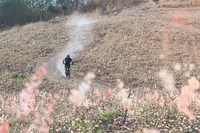 Bangkok Post - Backpedalling