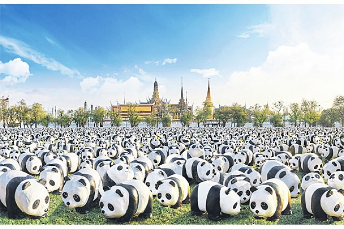 Bangkok Post - Panda tour hits Thailand