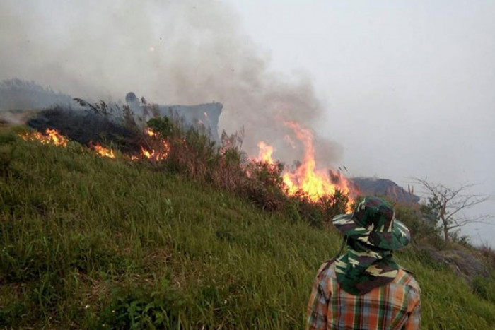 Bangkok Post - Wildfire stopped from spreading into park from Laos