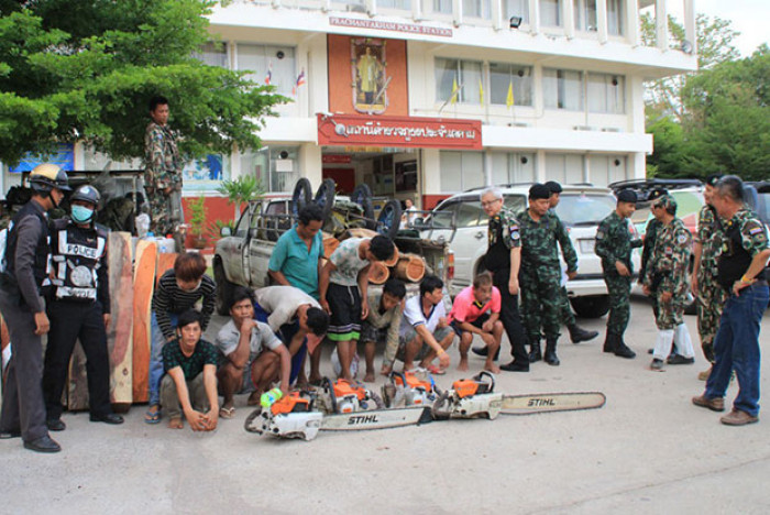 Bangkok Post - Cambodian, Thai timber poachers nabbed